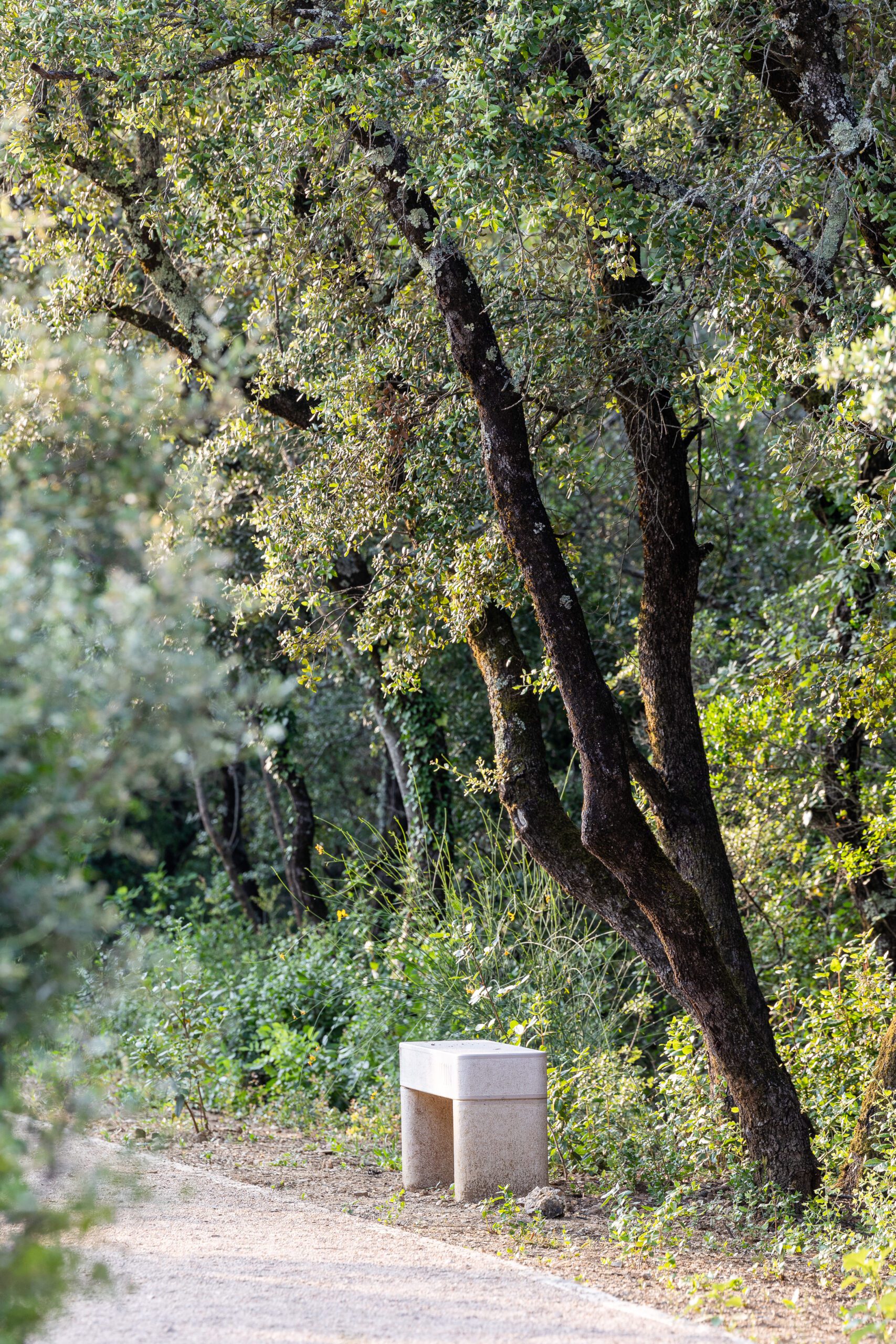 Parc du Château de Valbelle - ESKIS