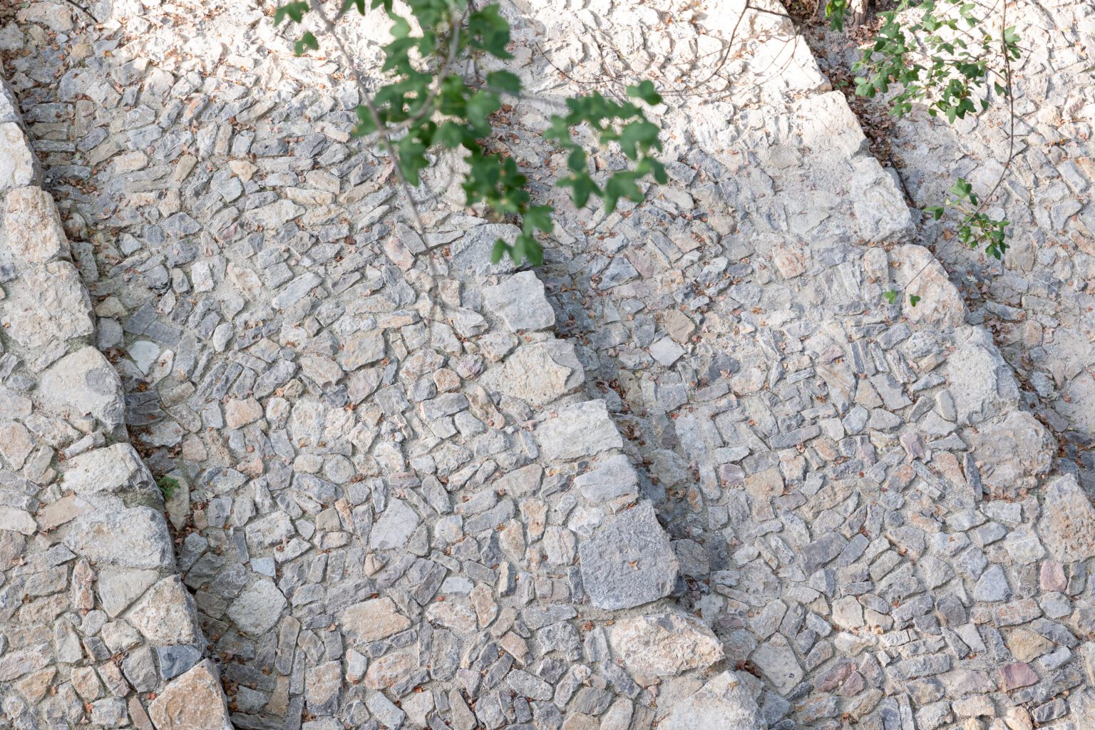 Parc du Château de Valbelle - ESKIS